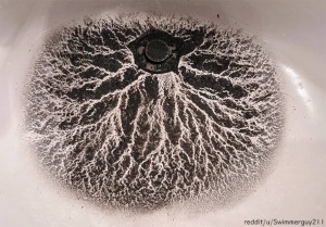 帰宅したら洗面所のシンクがホラーに！いったい何が起きているのか？ネットに相談だ - デイリーニュースオンライン