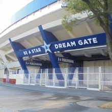 DeNA・楠本、OP戦終盤の好守に「無茶するな」と苦言も フェンスに身を乗り上げ激突、淺間級の大怪我もあり得た？(1ページ目) - デイリーニュースオンライン