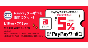 Temu x PayPayポイント5%還元のチャンス！6月15日（土）より開催 - デイリーニュースオンライン